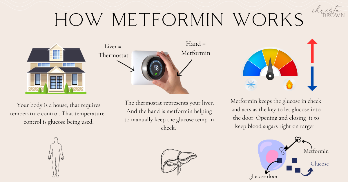 Berberine vs Metformin for Diabetes - Christa Brown